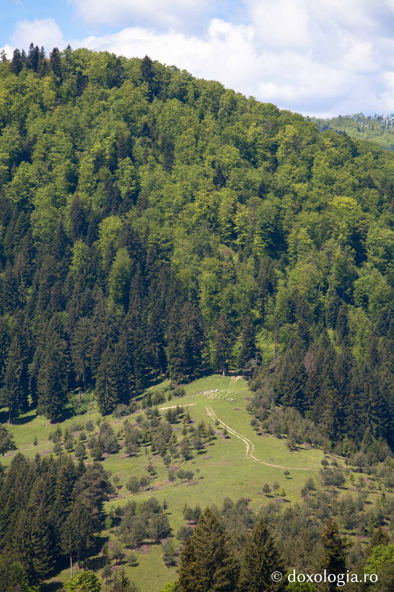(Foto) Pelerin la Mănăstirea Bisericani din județul Neamț | Doxologia