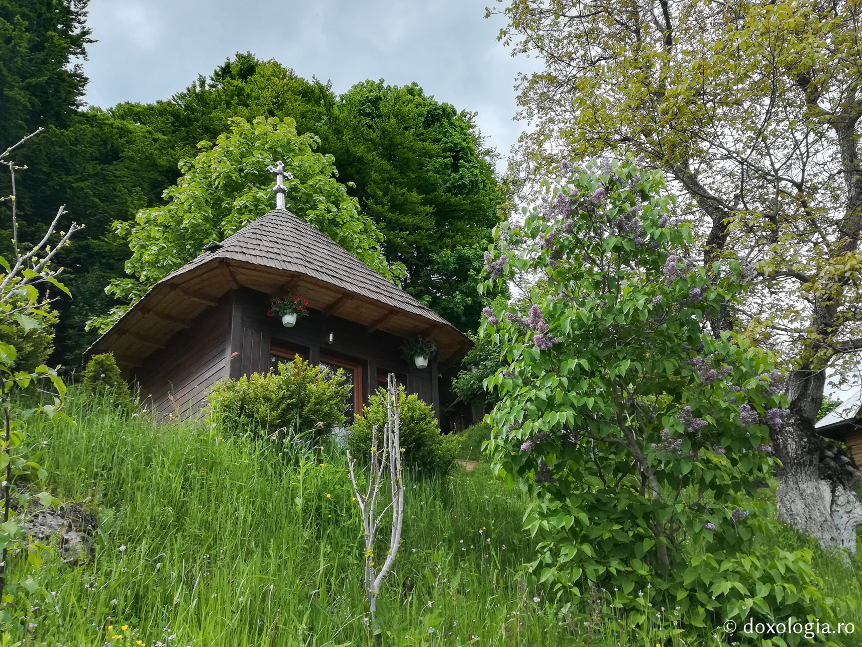 (Foto) Pătrunsa – o mănăstire de o frumusețe aparte | Doxologia