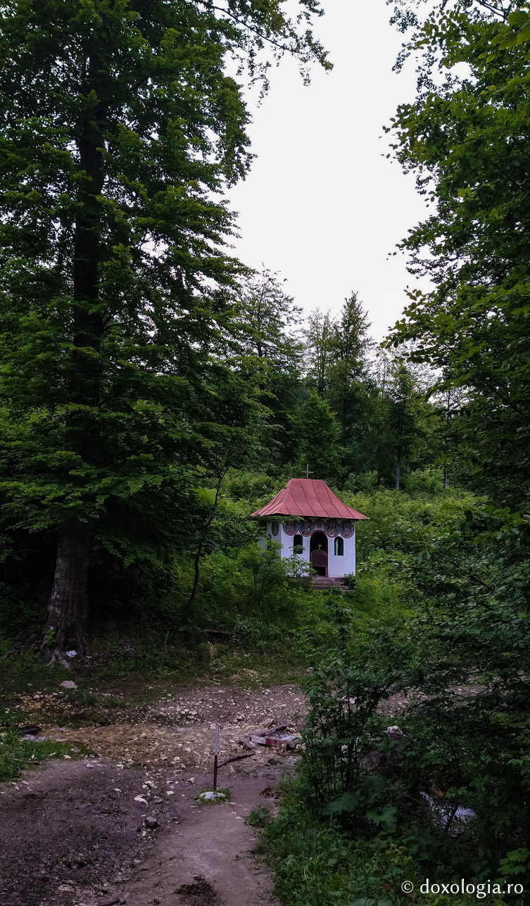 (Foto) Pătrunsa – o mănăstire de o frumusețe aparte | Doxologia