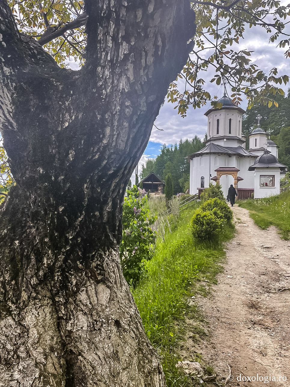 (Foto) Pătrunsa – o mănăstire de o frumusețe aparte | Doxologia