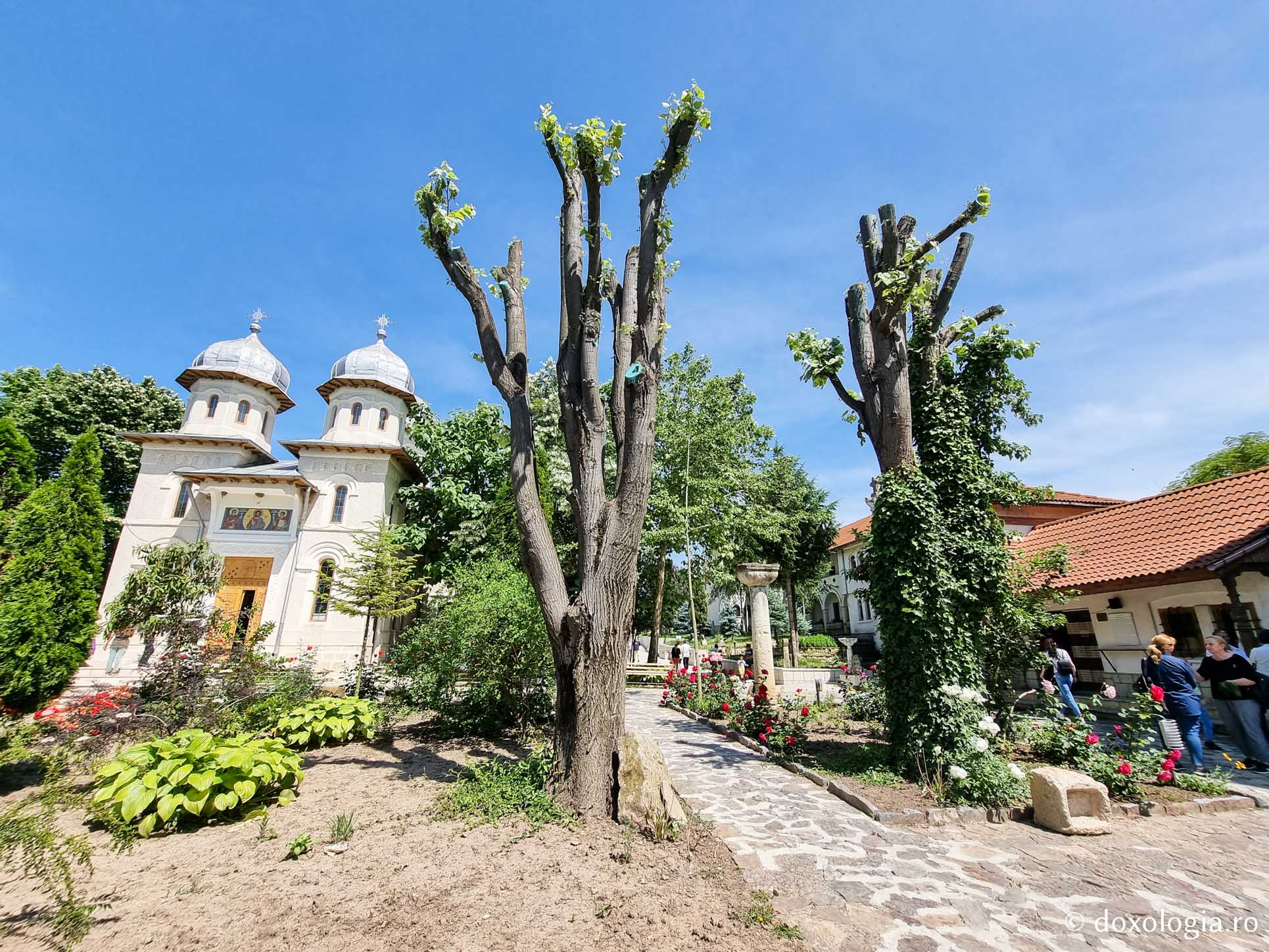 Mănăstirea Dervent – Constanța | Doxologia