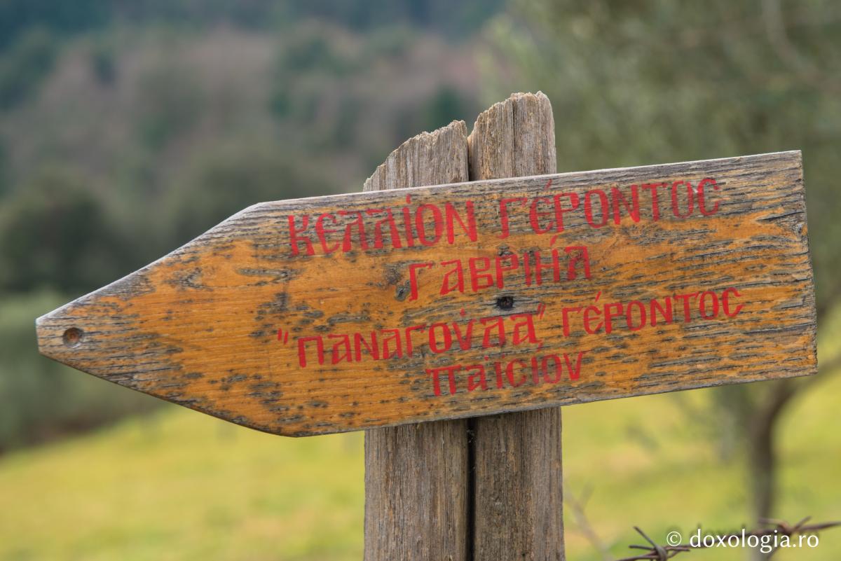 (Foto) Chilia Panaguda a Sfântului Paisie Aghioritul | Doxologia