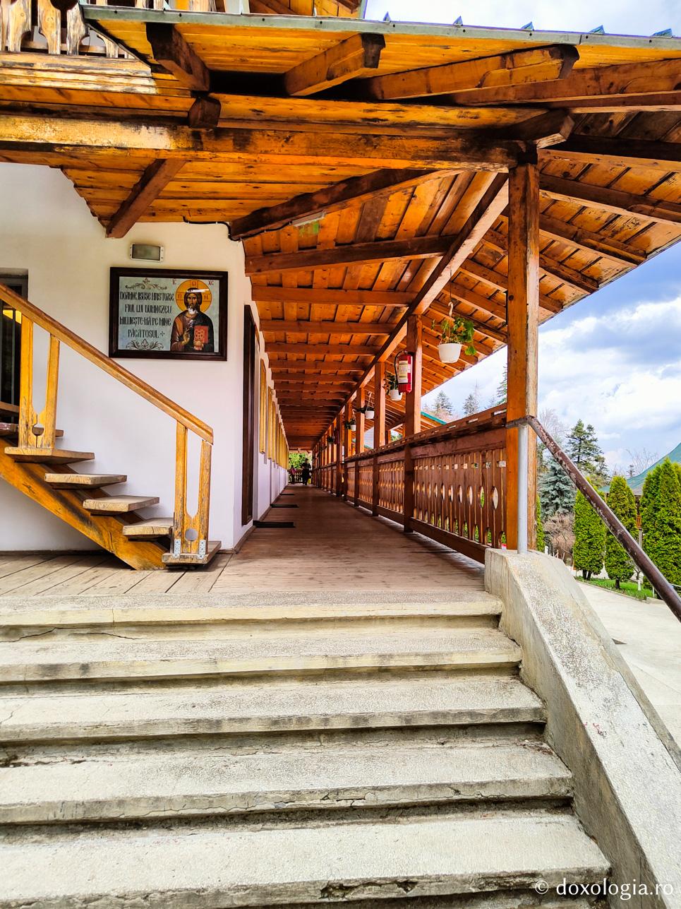 (Foto) Liniștea de la Mănăstirea Sihla | Doxologia