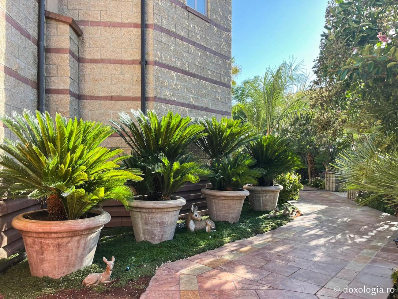 (Foto) Frumusețea Mănăstirii Izvorul Tămăduirii din Dunlap, California ...