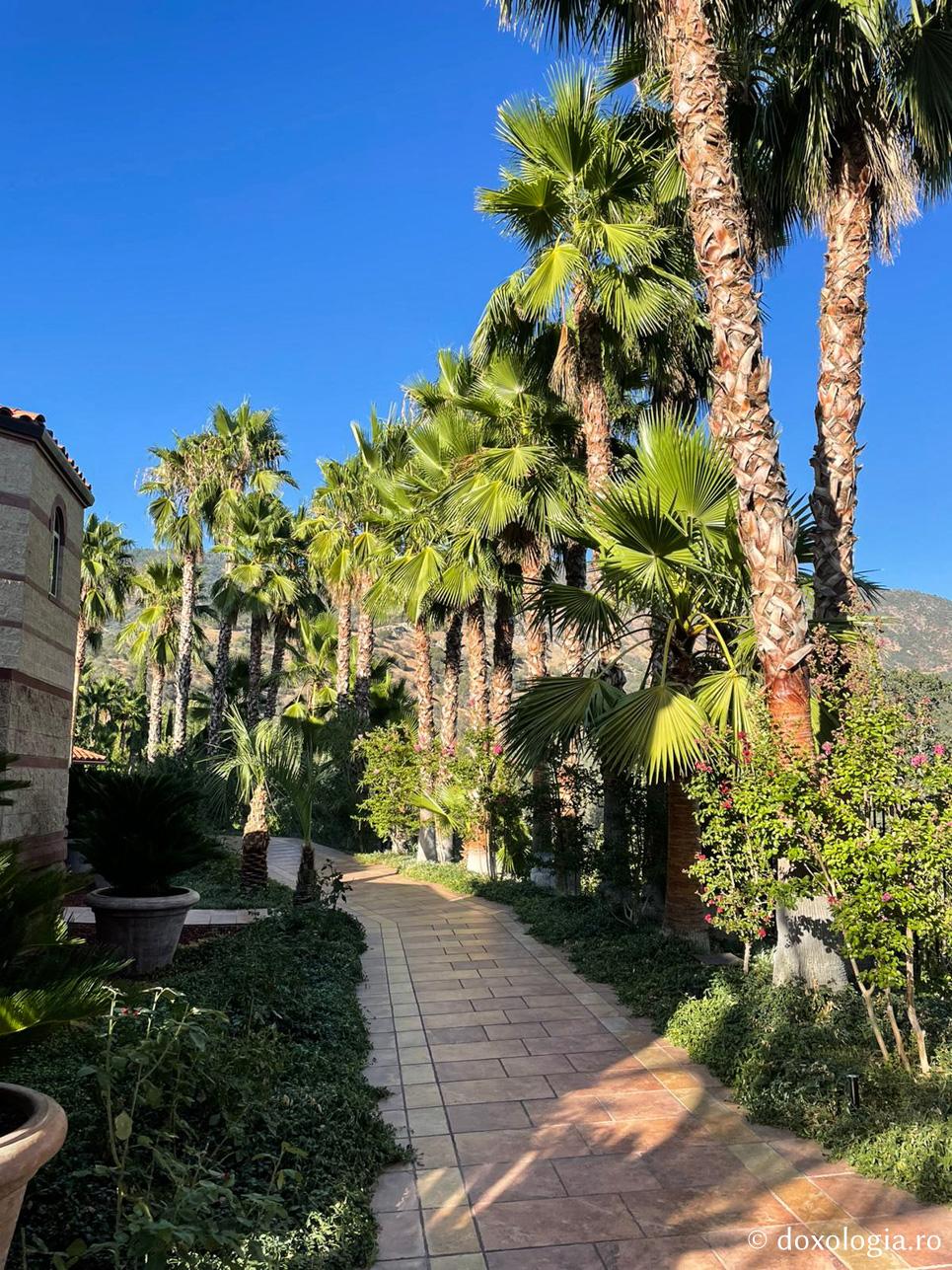 (Foto) Frumusețea Mănăstirii Izvorul Tămăduirii din Dunlap, California ...