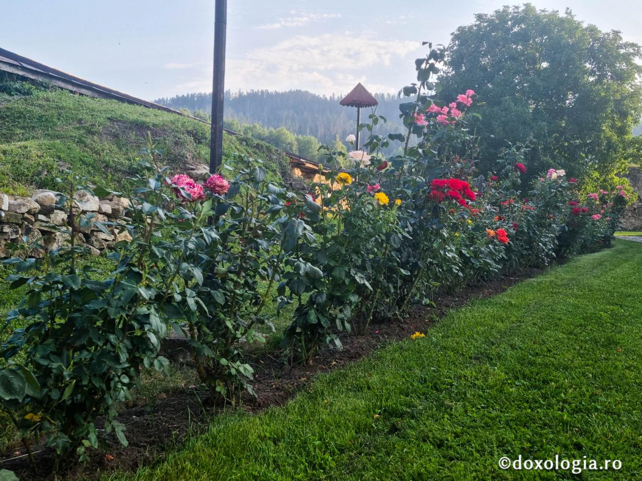 (Foto) Mănăstirea Solca | Doxologia