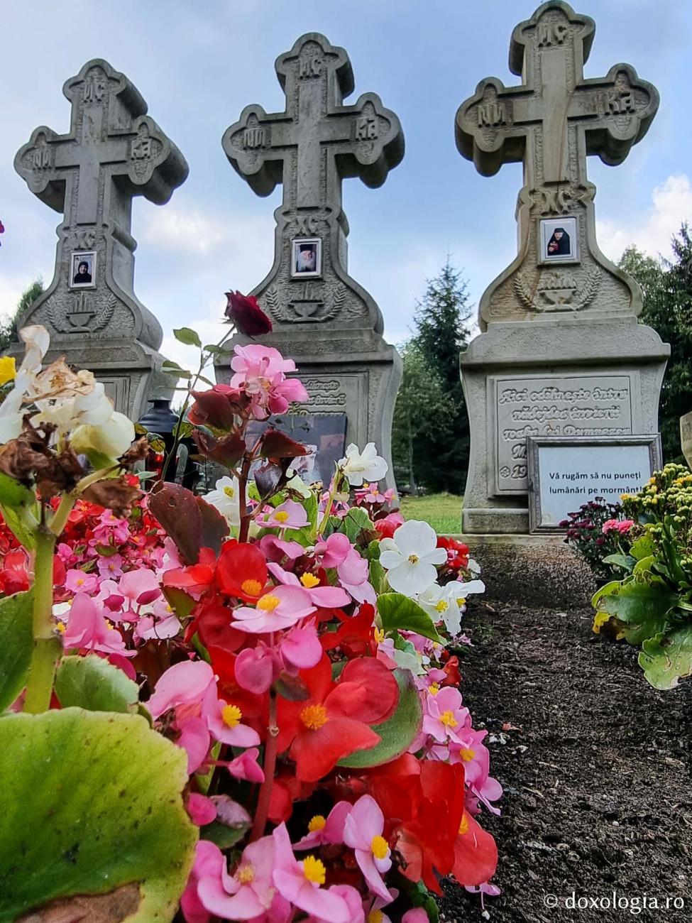 (Foto) Mormântul Părintelui Proclu Nicău | Doxologia