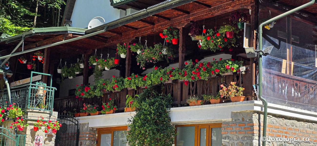 (Foto) Schitul Sfântul Mare Mucenic Pantelimon, colțul de Rai de pe ...
